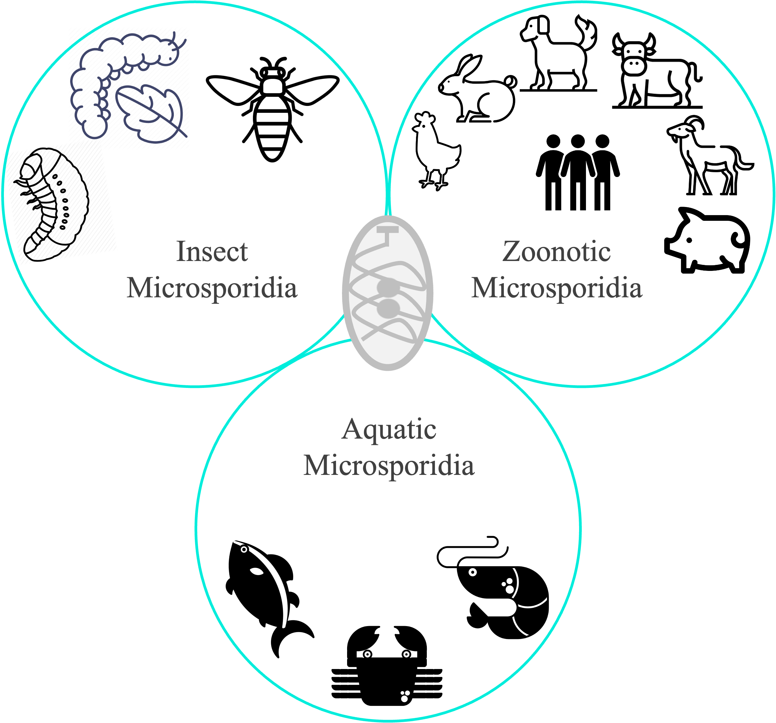 MicLab - Chongqing Key Laboratory of Microsporidia Infection and Control